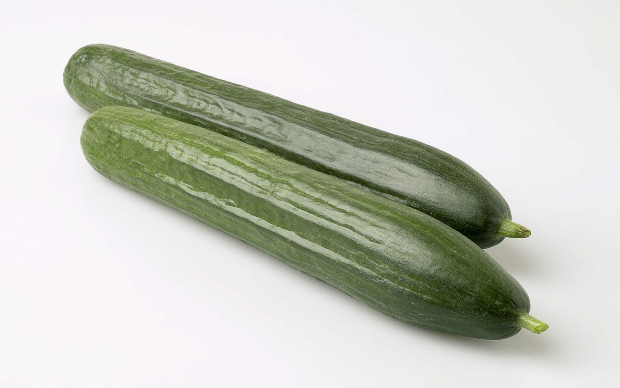 Cucumber – Rowlands Plants